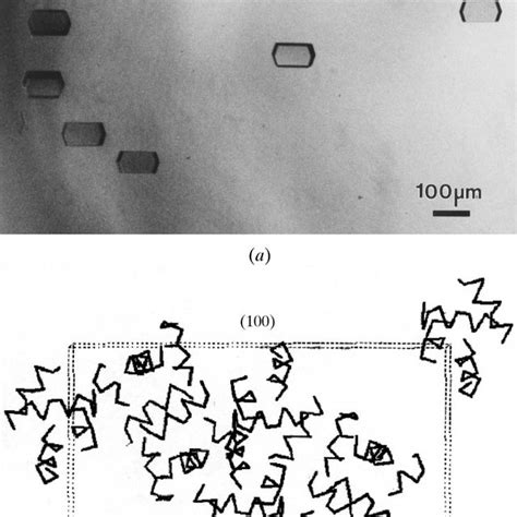 A Orientation Of Tetragonal Crystals Of Lysozyme Nucleated In A Download Scientific Diagram