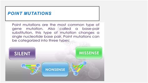 Mutation Its Types Andprinciples Relating To The Effects Of Gene