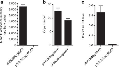 Evaluation Of Residual Promoter Activity In γ Retroviral Self