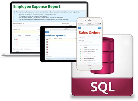 Connect Web Forms To SQL Databases Without Coding Frevvo