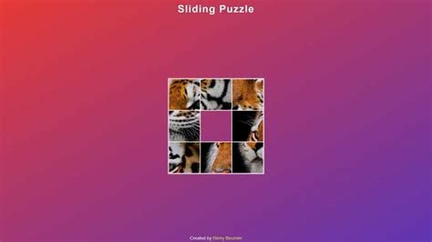 Pokemon Projects Rémy Beumier