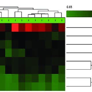 Heat Map Showing Hierarchical Clustering Of MiRNAs In AD Patients And