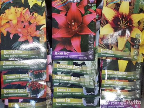 Луковичные многолетних цветов купить в Перми Товары для дома и дачи Авито