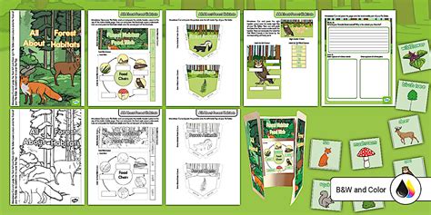 All About Forest Habitats Trifold File Folder Activity