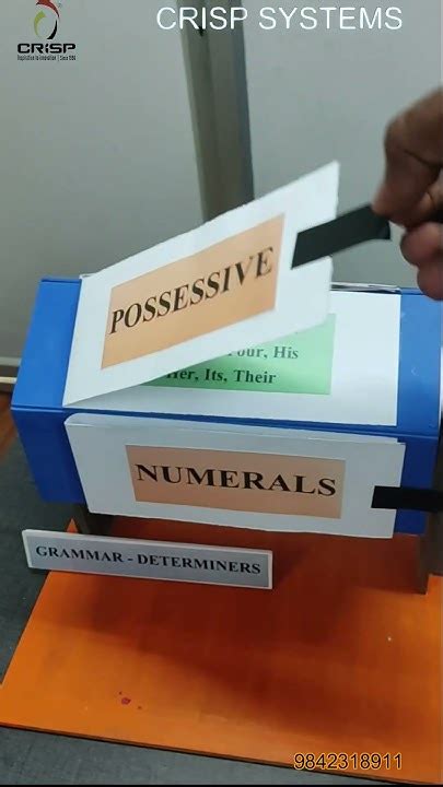 English Working Model On Determiners School Project Grammar Working