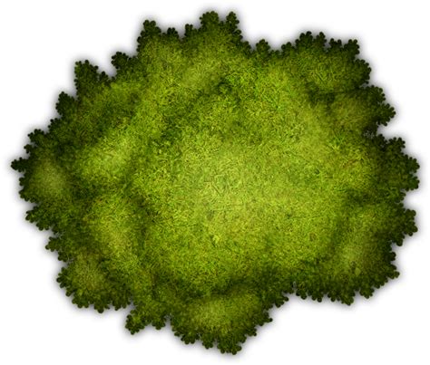 Congratulations The PNG Image Has Been Downloaded Dungeons And Dragons Tree HD Png Download