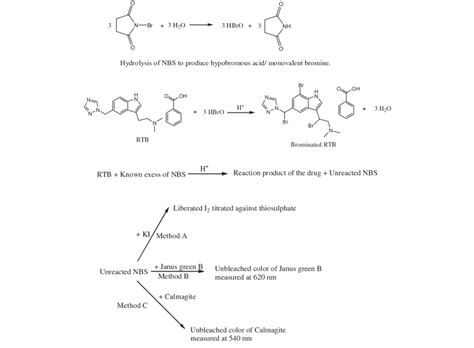 Scheme 1 Suggested Reaction Pathway For The Bromination Of Rtb By Nbs