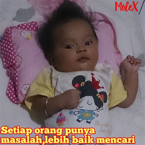 Molex Fm Youtube Molex Fm Youtube