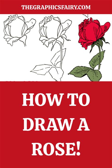 Easy Pictures To Draw Of Roses How To Draw A Rose A Step By Step