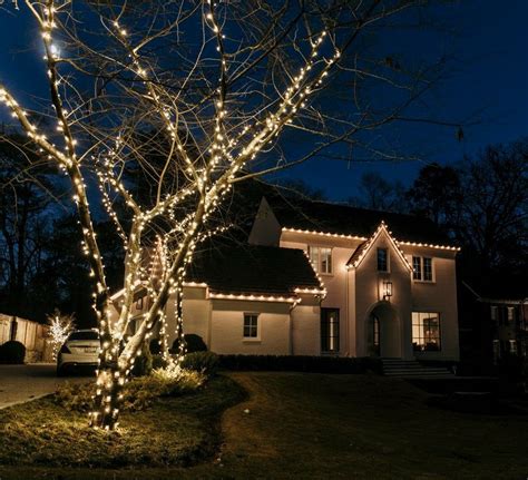 How To Light Trees Like A Pro Lite Up Atlanta