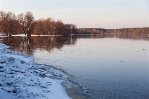 A Snowy River In The Sunlight With Brown Trees On The Other Bank Stock Image Image Of Sunlight