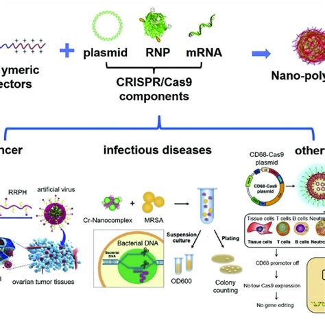 The Novel Microneedle Array Patch For Glucose Responsive Insulin Download Scientific Diagram