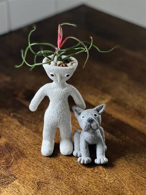 Meet Molly Bailey Shoutout Atlanta