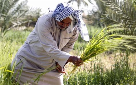 المالية النيابية تبحث مع وزير الزراعة توفير التخصيصات لتسديد مستحقات