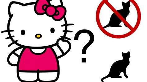Real Hello Kitty Cat