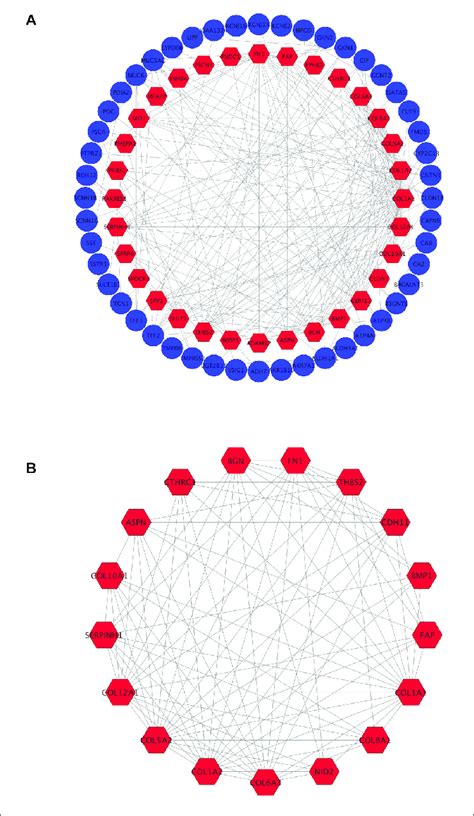 Common Degs Ppi Network Constructed By String Online Database And