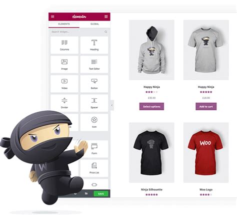 Elementor Pro WorldPress IT