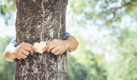 Asian Man Giving A Hug On Big Teak Tree Hug Love Tree And Nature Or Environment Concept Stock