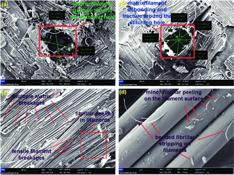 A Sem Views Of Failed Twaron Stitched Base Composite Top Face Download Scientific Diagram