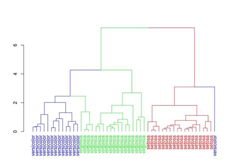 R 如何根据其中的类对 R 树状图中的分支进行着色？stack Overflow中文网