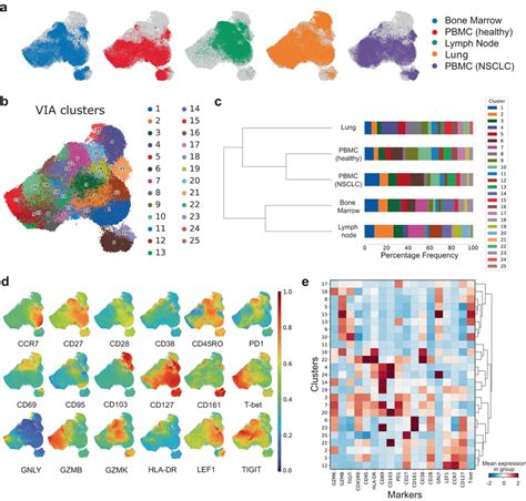 Selected Crusty Data Outputs A Umap Plots Showing Single Cd8 T Cells