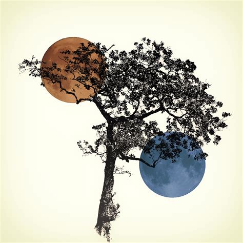 Fotografía artística Tree of life showing the Ying and Yang as above so below It Pósters