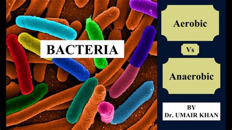 Aerobic Vs Anaerobic Bacteria By Dr Umair Khan I Bacteriology I