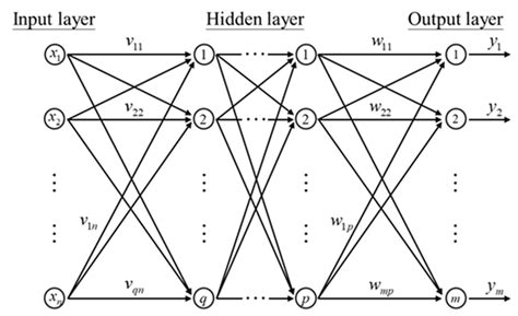 The Structure Of Bpn Download Scientific Diagram