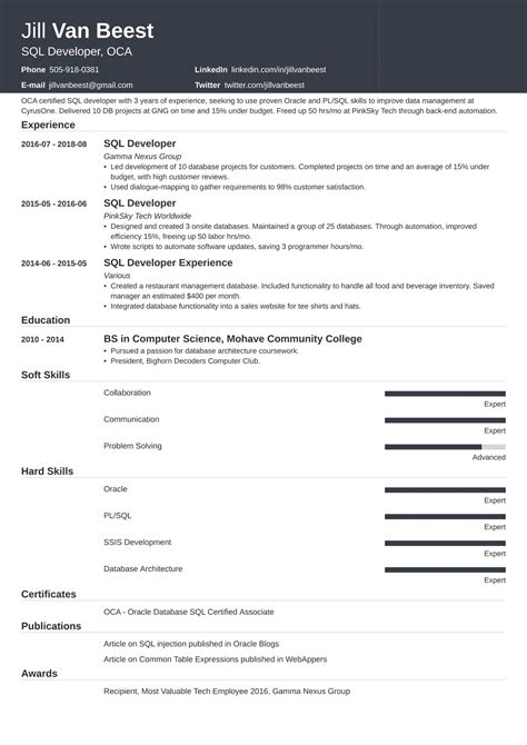 Sql Developer Resume Sample 20 Examples And Tips