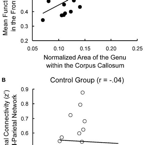 Correlations Between Functional And Anatomical Connectivity Functional