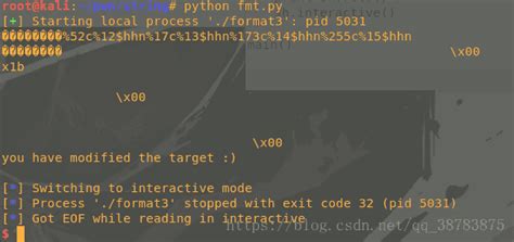 pwn 练习笔记 覆盖内存地址 pwn fmtstr hhn csdn博客