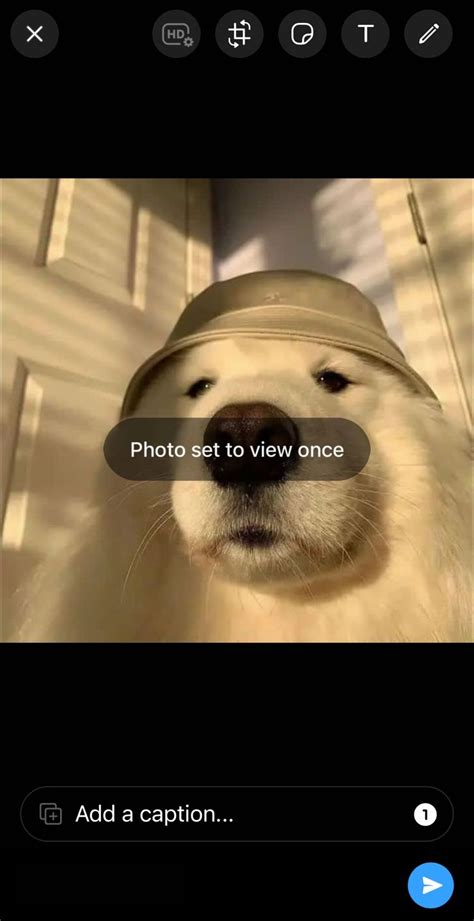 How To Block Screenshots In Whatsapp Tech Junkie