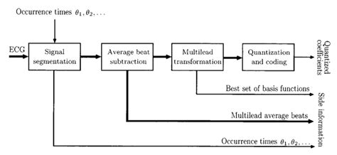 Ecg Signal Processing Biosignal Processing