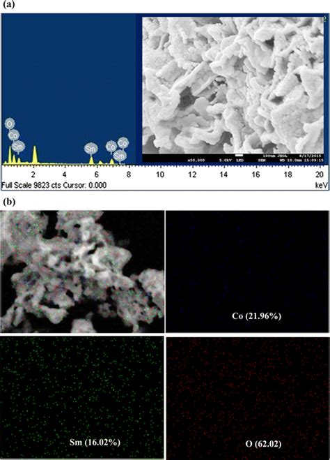 a edx micrograph and fesem image b edx dot mapping of the fresh 20