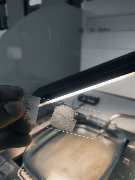 Badisa John Phafane On Linkedin Histology Tissue Microtomy Embedding Block Leica