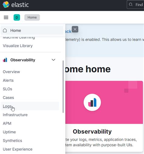 Logging System Luna Access Documentation