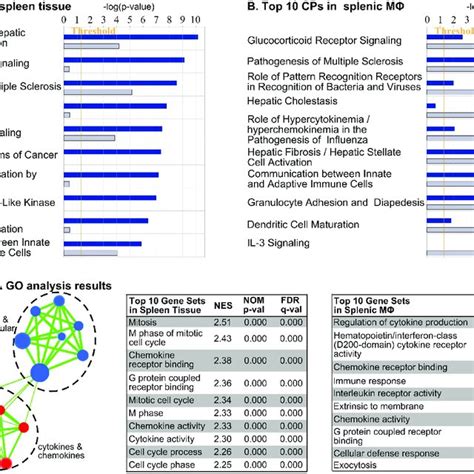 Functional Characterization Of Differentially Expressed Transcripts In