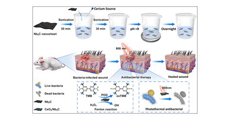 Mxene Based Dual Functional Nanocomposite With Photothermal Nanozyme