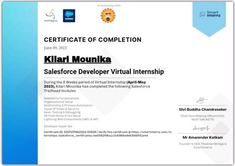 Kilari Mounika On Linkedin Internship Smartinternz Salesforcedeveloper