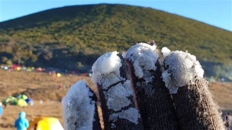 7 Alasan Kamu Harus Ke Alun Alun Surya Kencana Surga Edelweiss Di