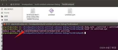 ubuntu 程序崩溃检测3中方式全，亲测有效 ubuntu服务崩溃 日志 csdn博客