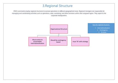 The Organizational Structure Of A Multinational Company Docx