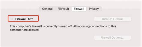 macos nginx shows started in terminal but could not be accessed in browser mac os stack