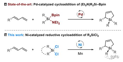 兰州大学舒兴中团队：碳硅环的合成 反应 产物 条件下