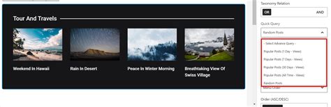 advanced query builder wpxpo