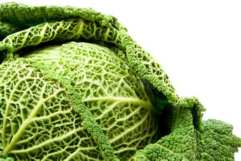 Cabbage Leaf Texture Stock Image Image Of Backgrounds 21068629
