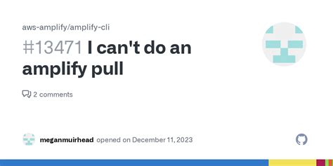 i can t do an amplify pull · issue 13471 · aws amplify amplify cli