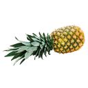 Veggipedia Pineapple