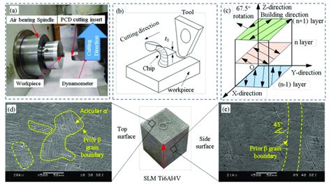 A Experimental Setup B Schematic Of The Processing Process C Download Scientific