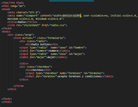 personalizar radio button y checkbox con css